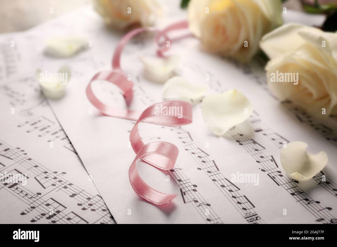 Beautiful rose on music sheets background Stock Photo - Alamy