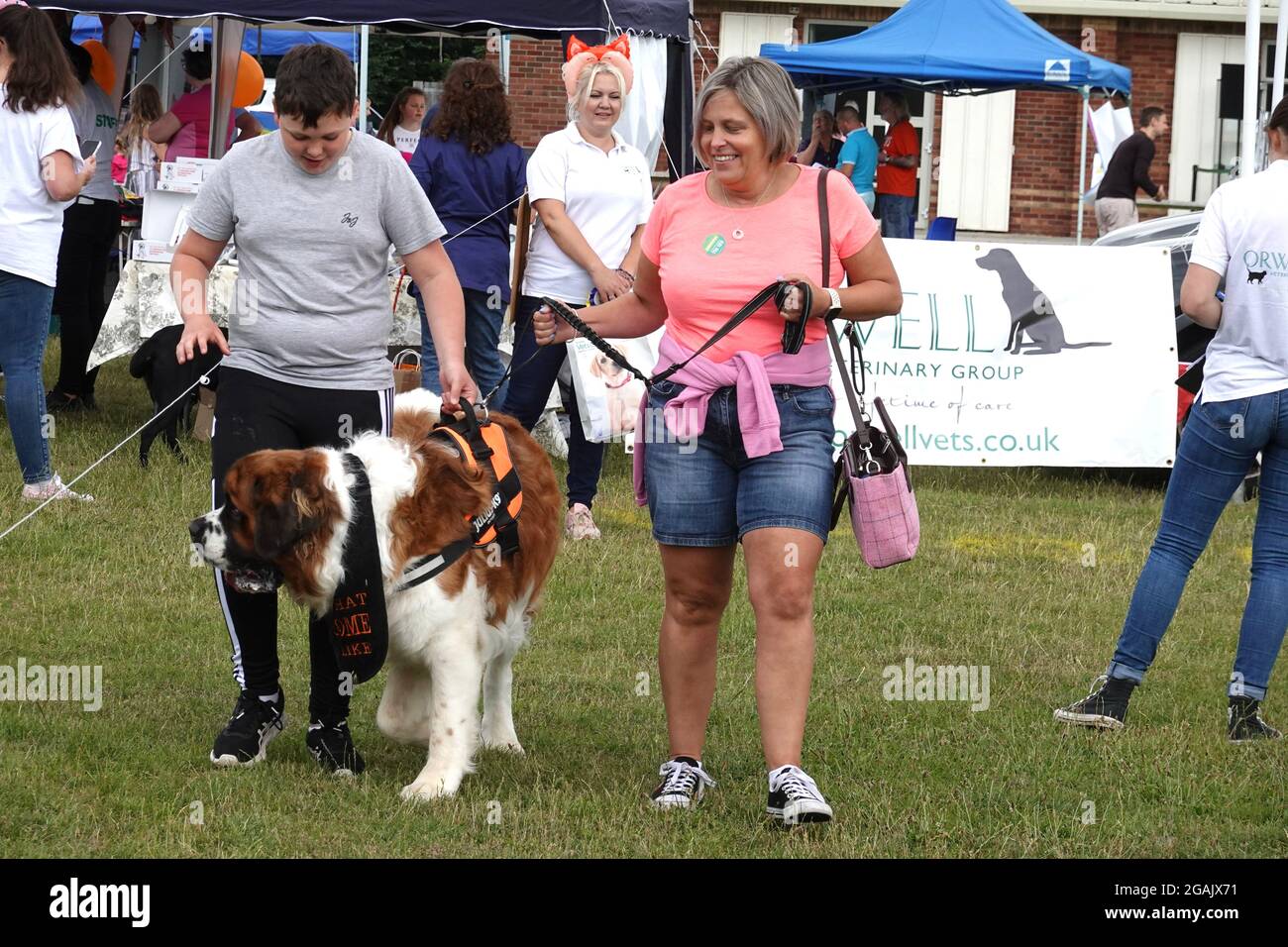 Kesgrave, Suffolk - 31 July 2021; Fun Day at Millennium Field. Dog show ...