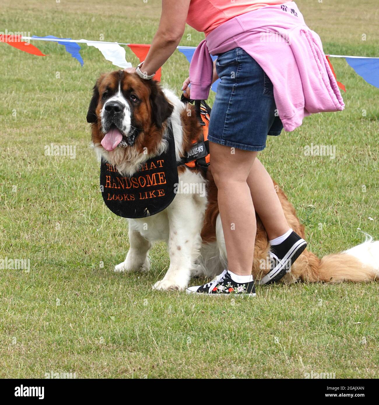 Kesgrave, Suffolk - 31 July 2021; Fun Day at Millennium Field. Dog show ...