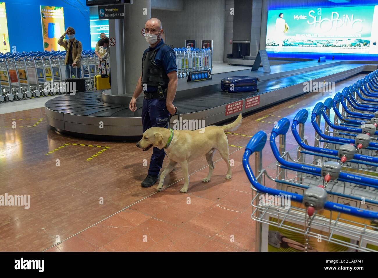 Customs sniffer dog hi-res stock photography and images - Alamy