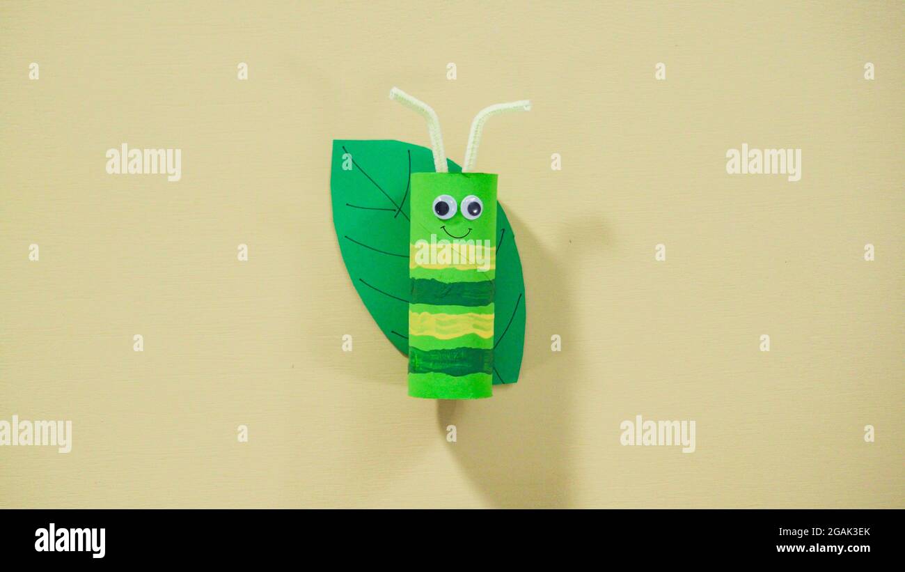 Flat lay. Papercraft project. Colorful bugs made out of empty toilet ...