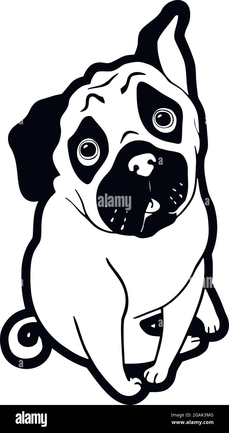 Peeping pug Cut Out Stock Images & Pictures - Alamy