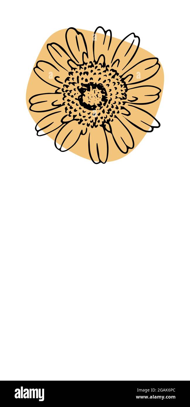 Daisy with abstract shapes hand drawn illustration. Line art. Isolated ...