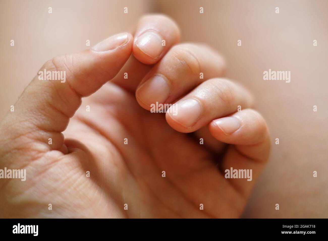 Fingers folded into palm hi-res stock photography and images - Alamy