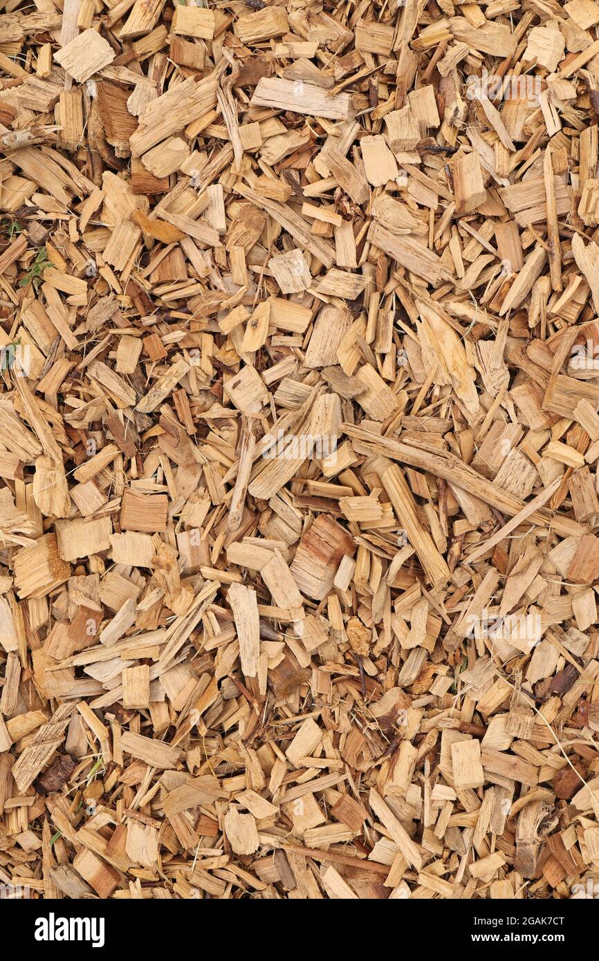 Wood chips as a background Stock Photo - Alamy