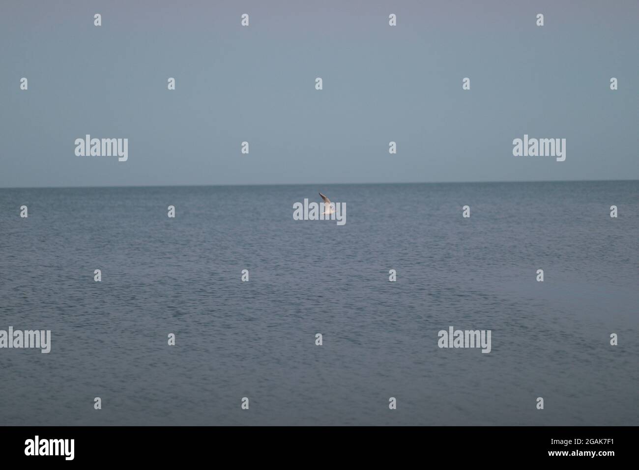ocean close-up with transparent water on the sandy shore Stock Photo ...