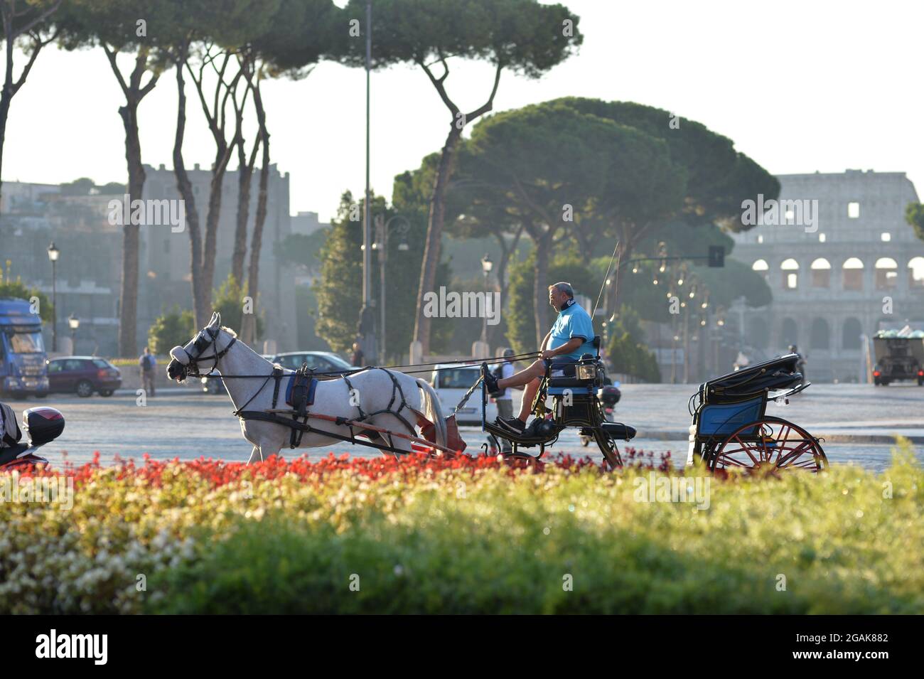 Horse drawn carriage with Colosseum in the background Rome Italy ...