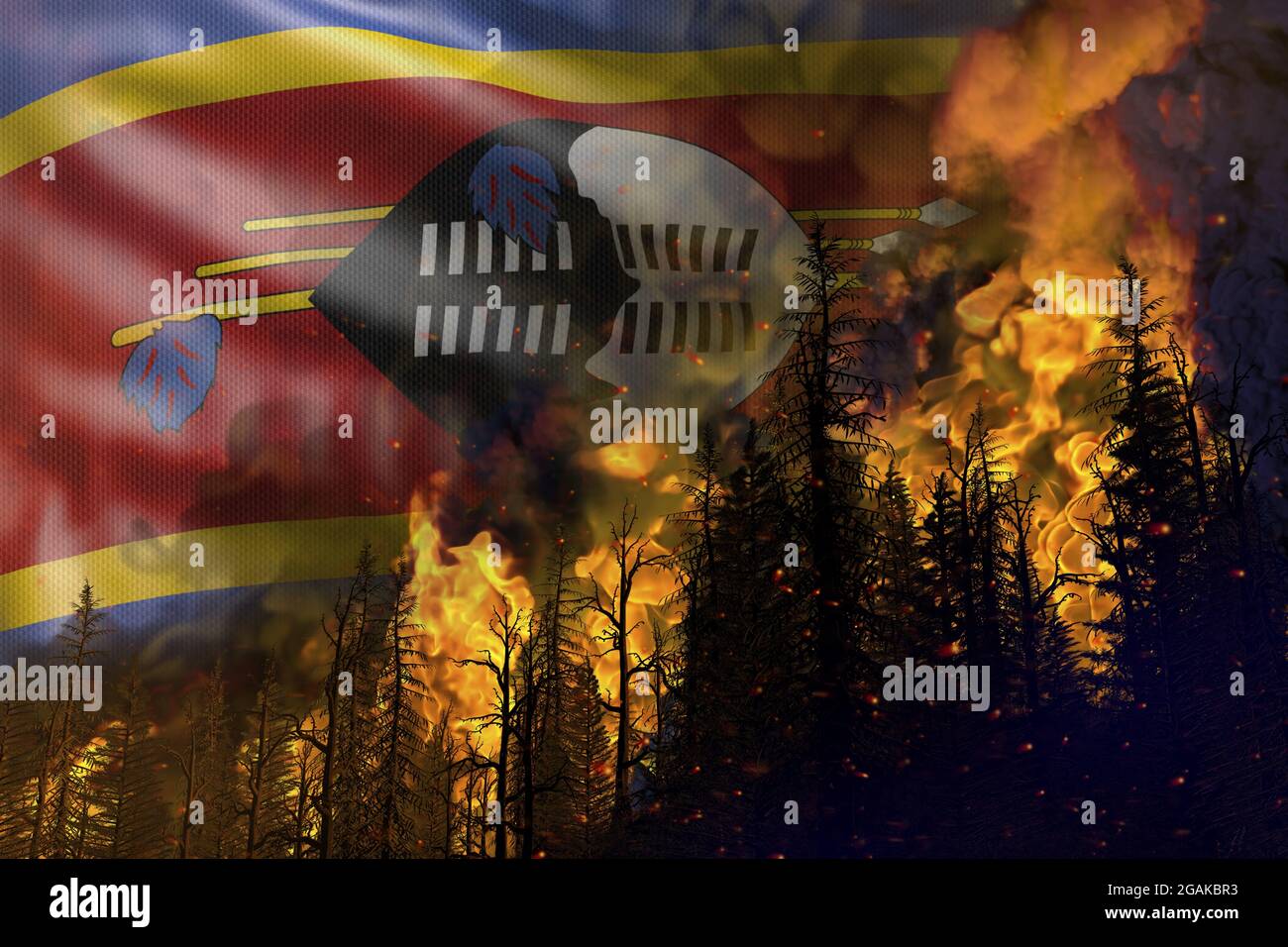 Forest fire natural disaster concept - burning fire in the woods on ...