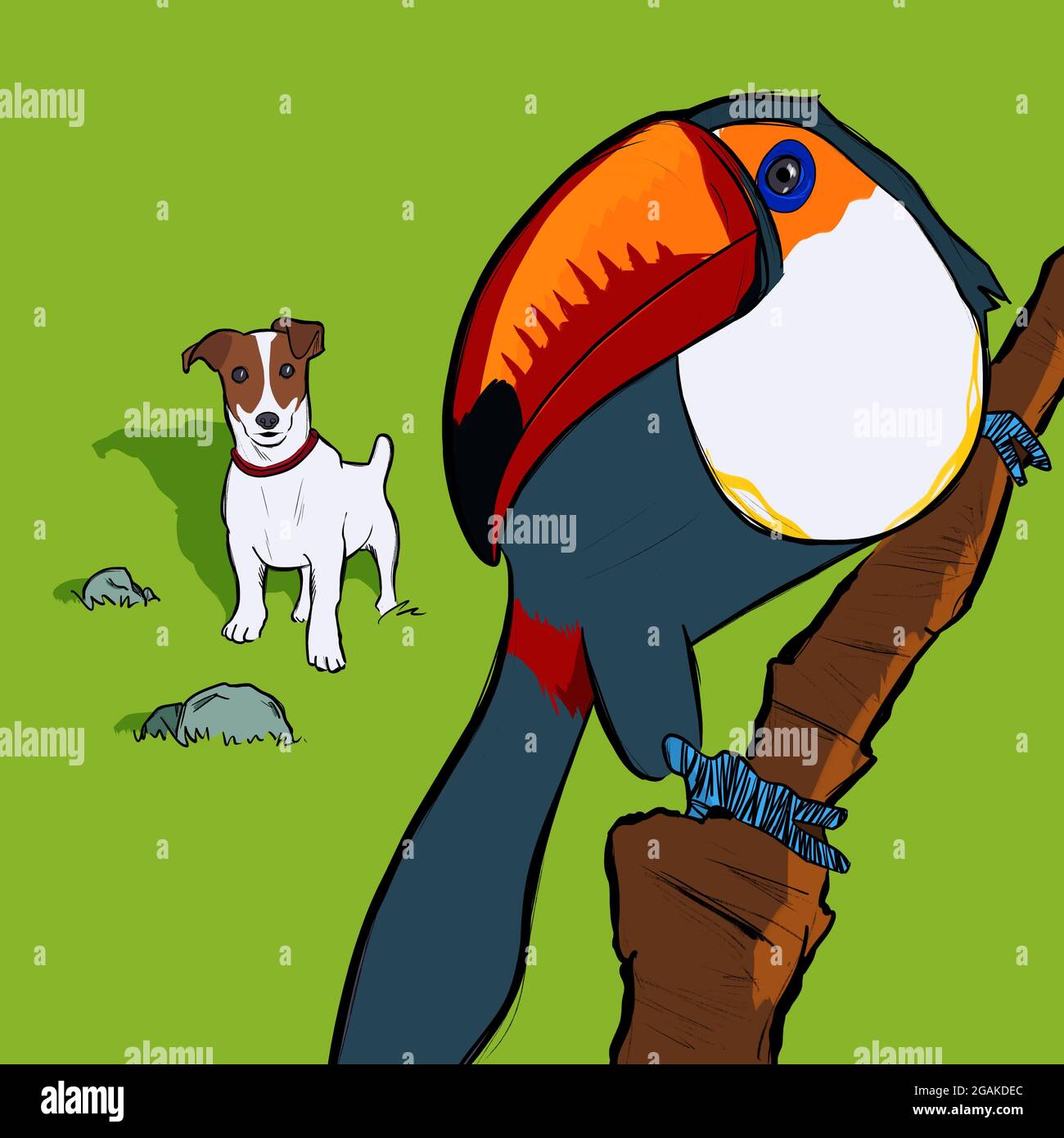 Animal friendship dog bird hi-res stock photography and images - Alamy