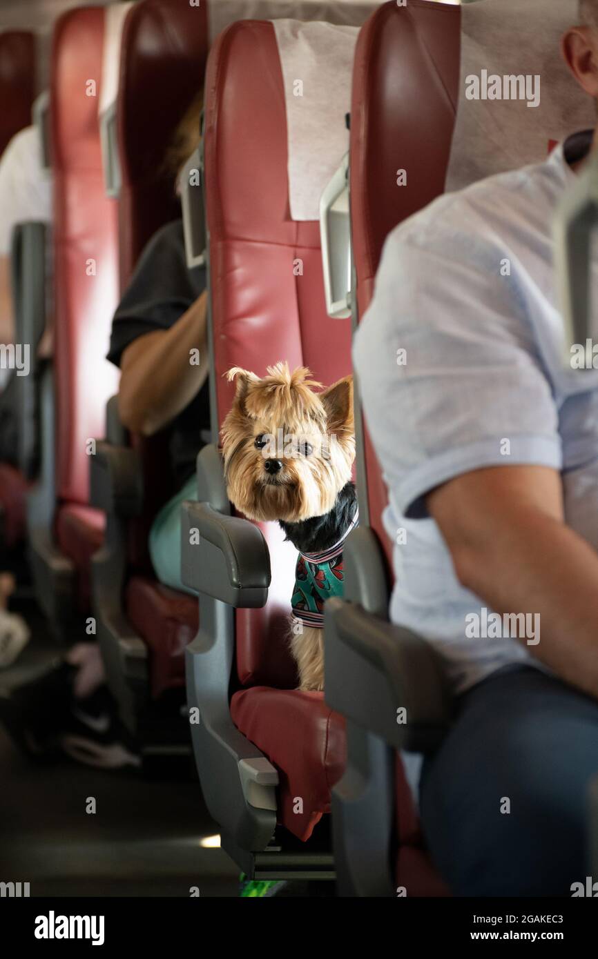 Beautiful train rides hi-res stock photography and images - Alamy