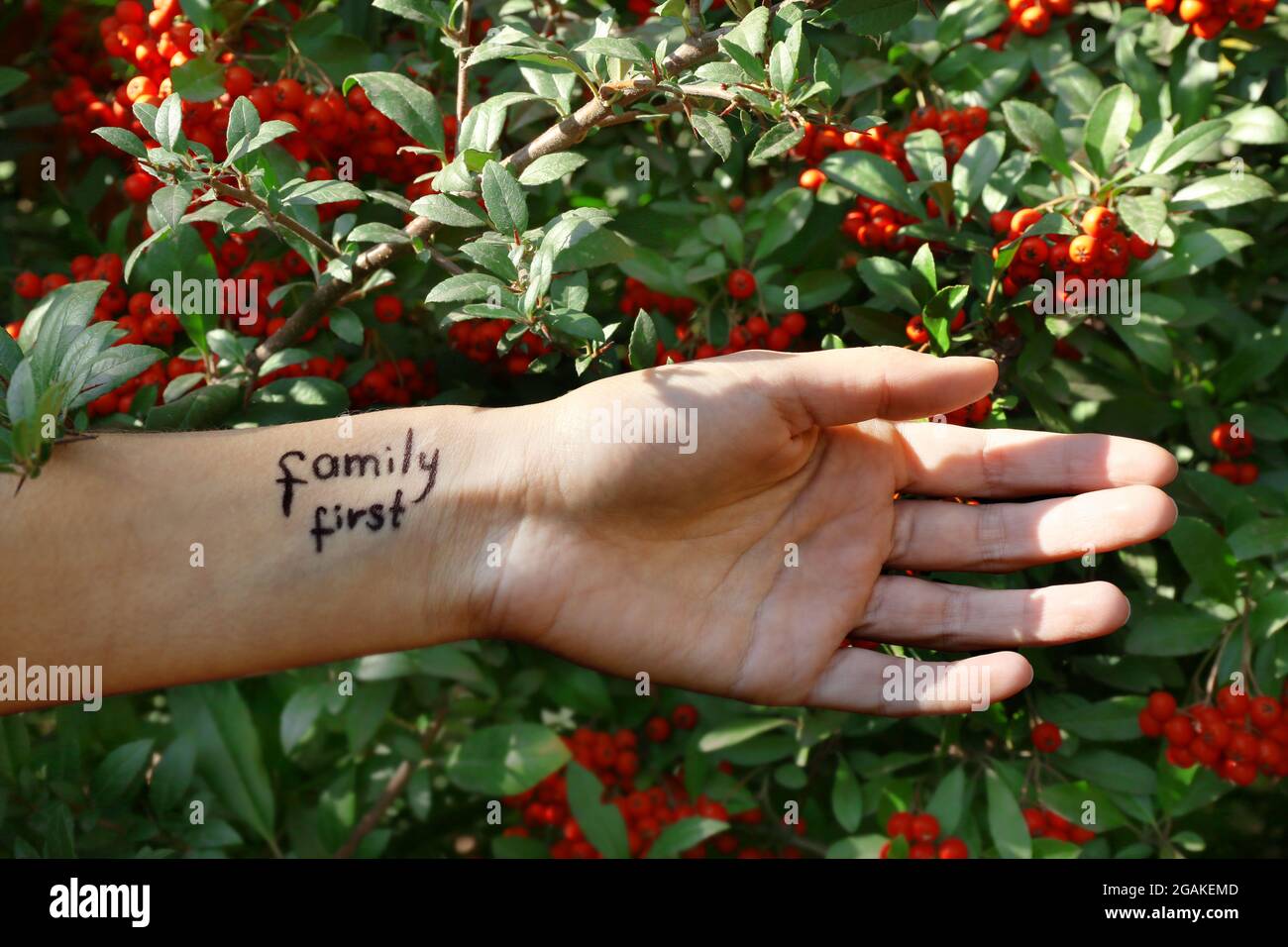 Female hand with tattoo in rowan bush background Stock Photo - Alamy