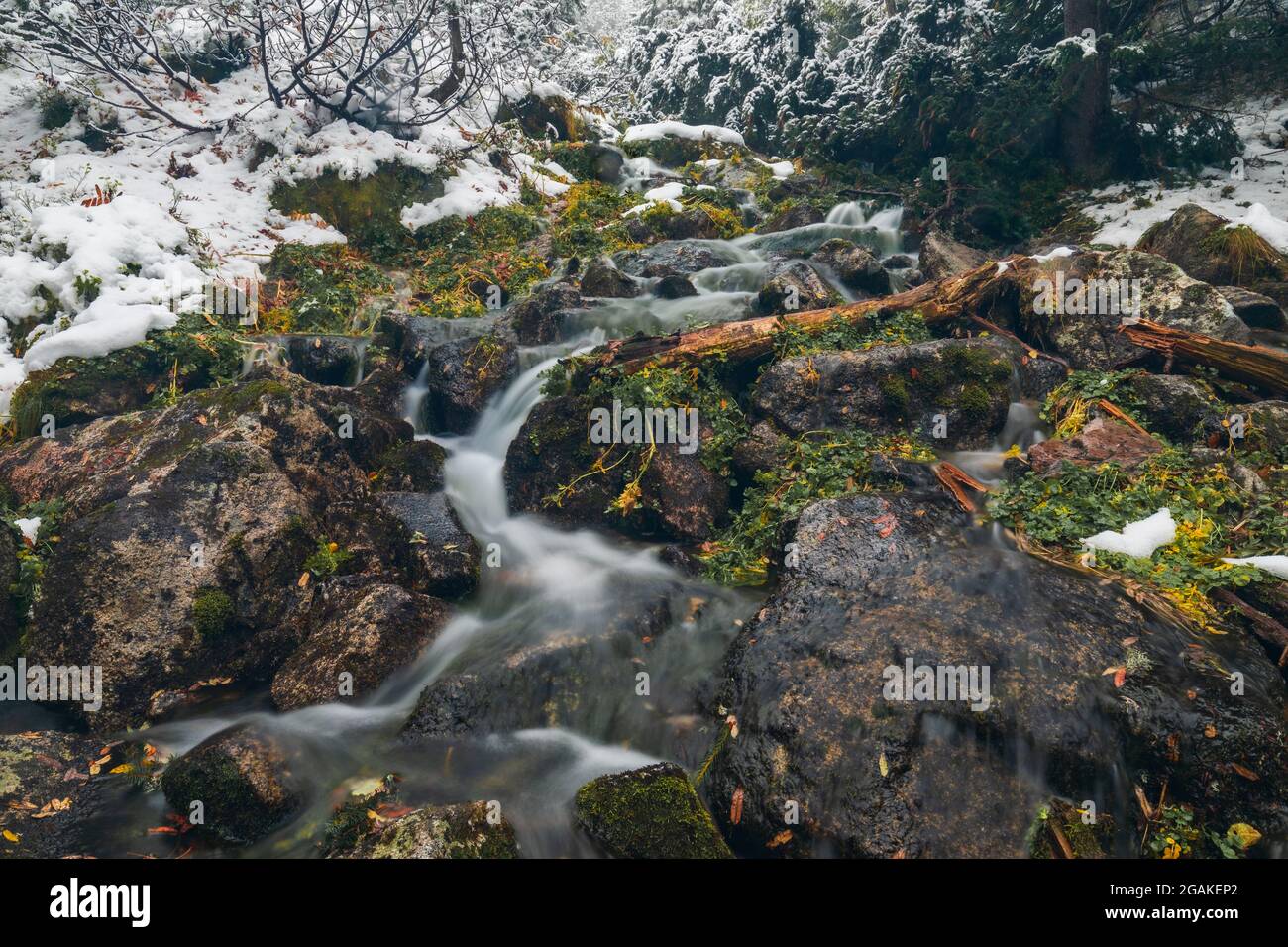 Water flow in magical winter scenario in Tatra Mountains, Poland Stock ...