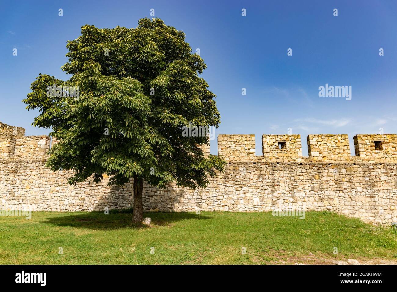Kalemegdan Fortress is historic castle towers, gate, and bridge in ...