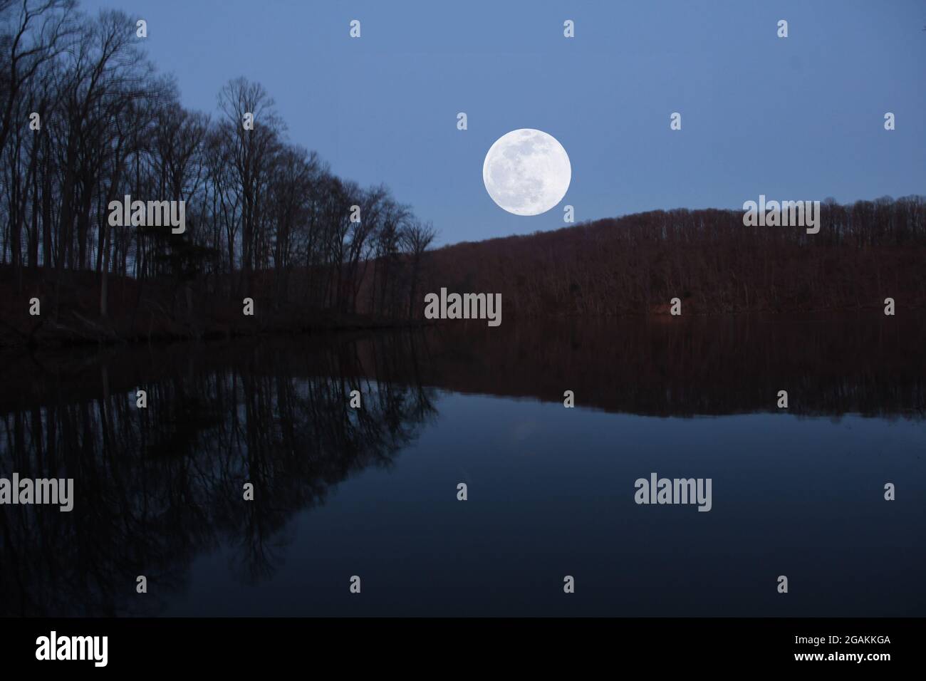 Full moon night sky hi-res stock photography and images - Alamy