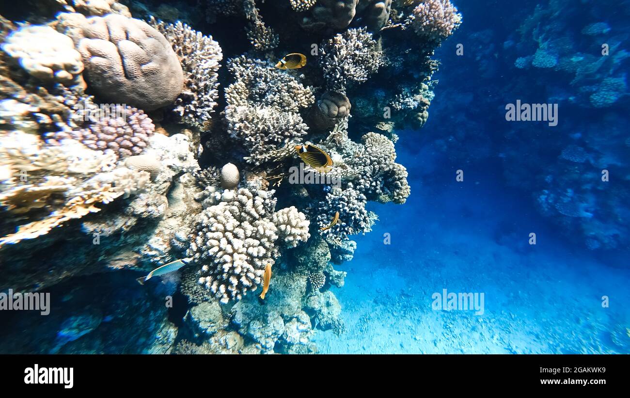 amazing views - the length of the red sea, on which there are beautiful ...