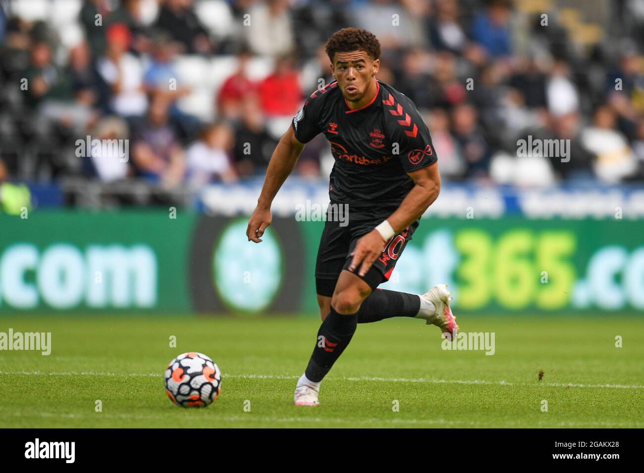 Che adams southampton in hi-res stock photography and images - Alamy
