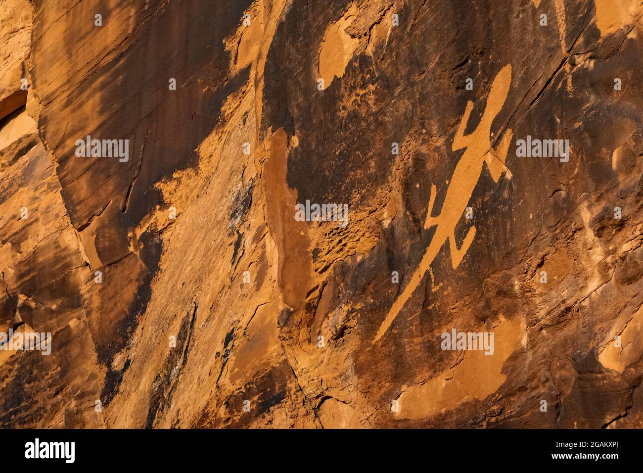 Lizard petroglyph at Cub Creek created by the Fremont People, Dinosaur ...