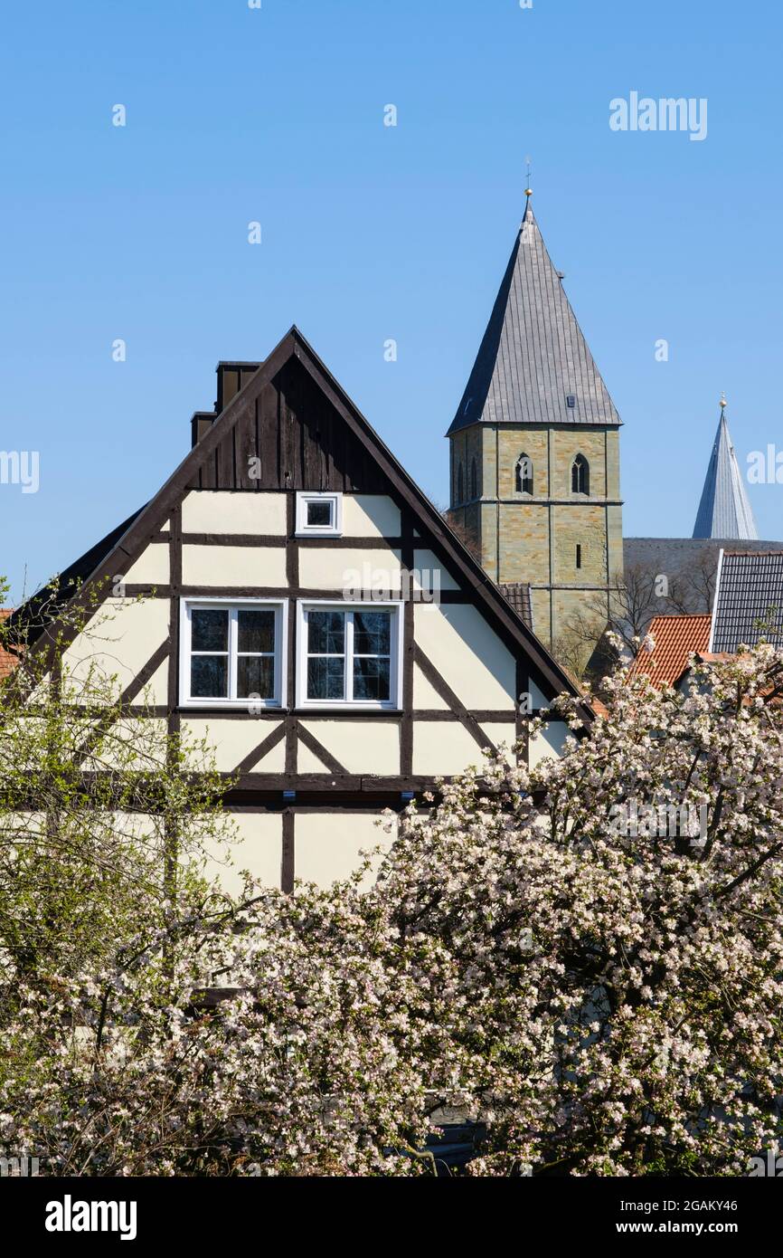Blossom tree curch hi-res stock photography and images - Alamy