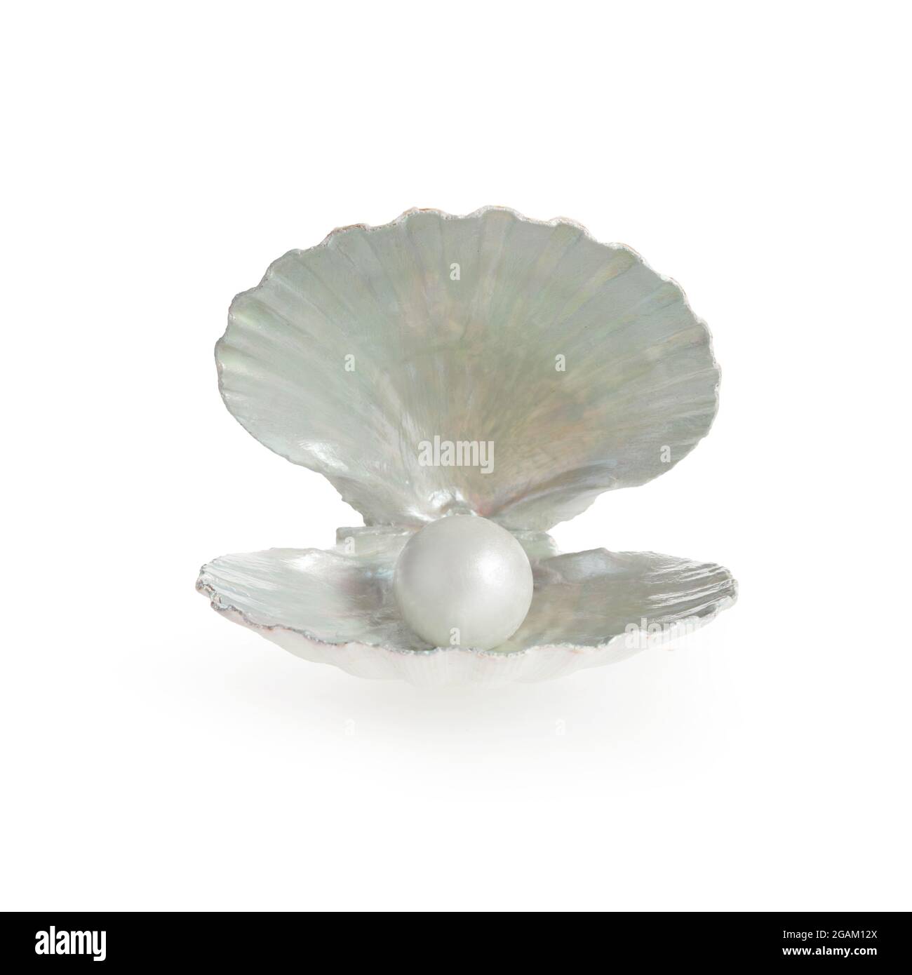 Pearl inside seashell isolated on white background Stock Photo - Alamy