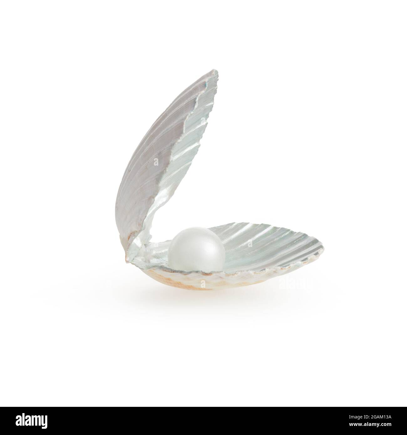 Pearl inside seashell isolated on white background Stock Photo - Alamy