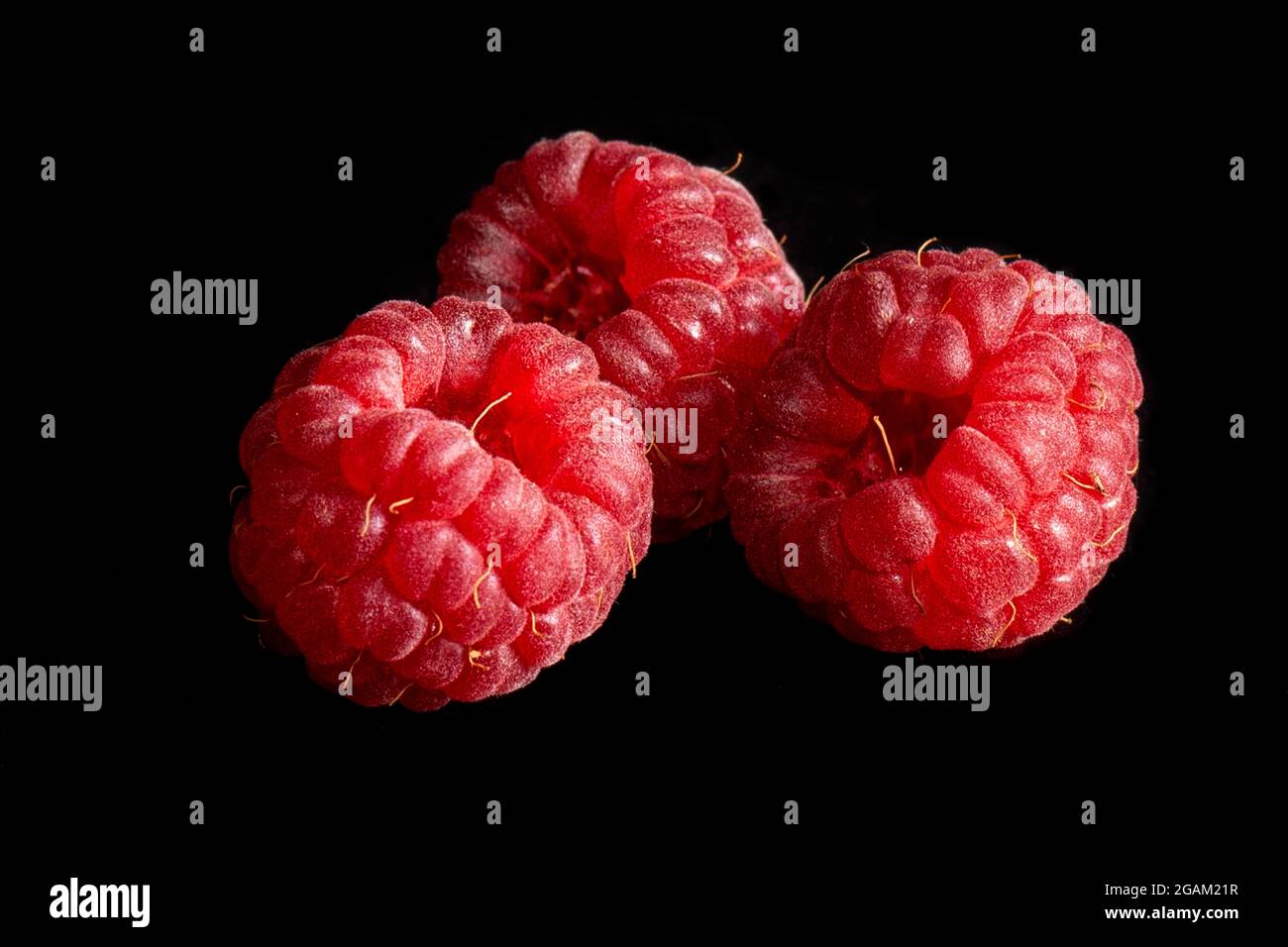 Red ripe raspberries isolated on black background close up. Poster ...