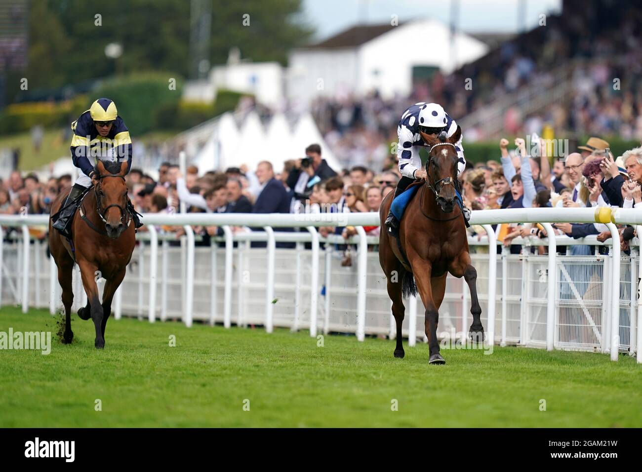 Rebel territory horse hi-res stock photography and images - Alamy
