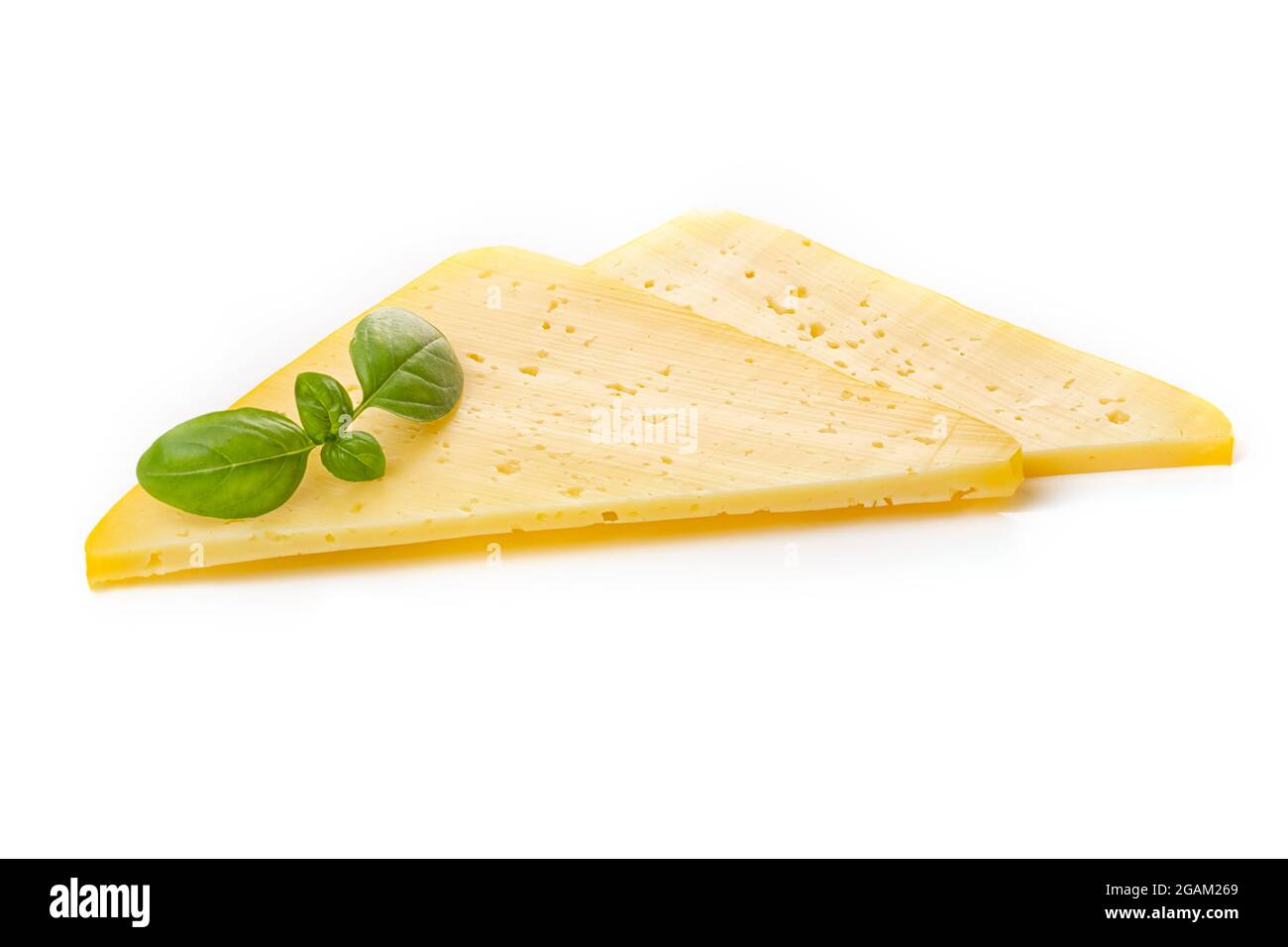 Pieces of semi-hard or hard yellow cheese with holes and basil leaf ...