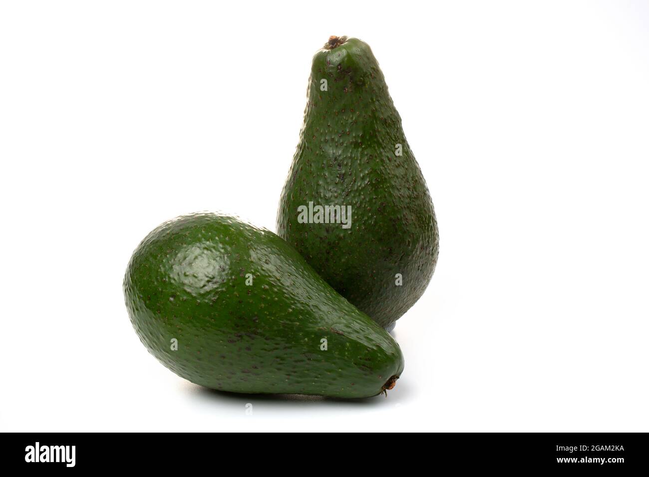 Two Avocadoes whole fruit isolated on a white background Stock Photo ...