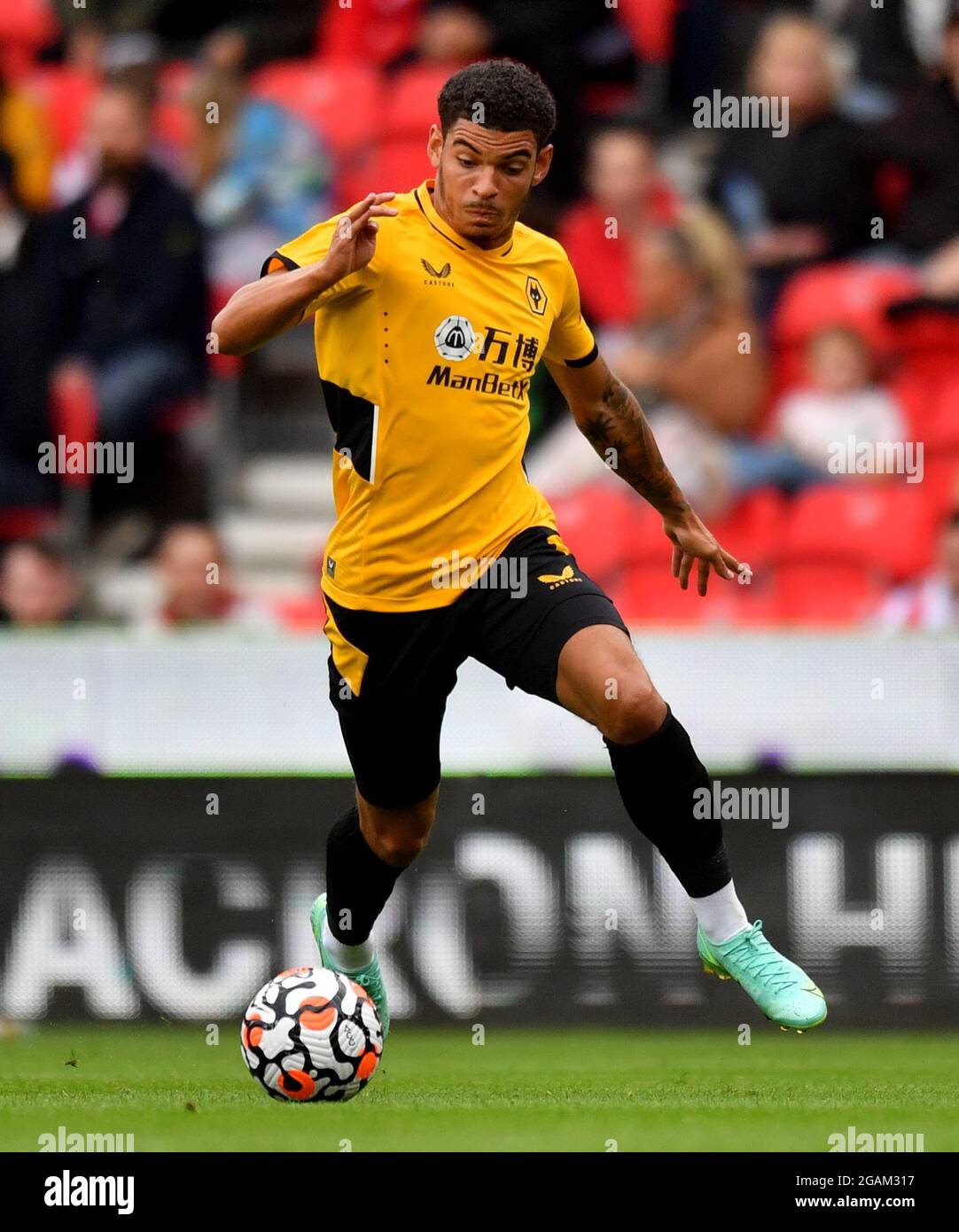 Morgan gibbs white wolves stoke hi-res stock photography and images - Alamy