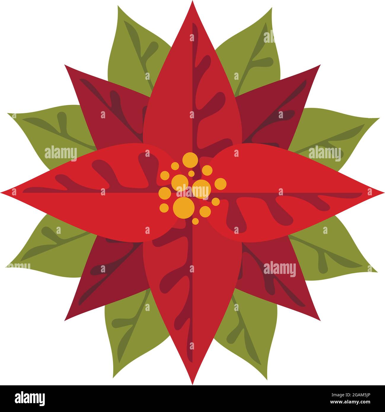 Poinsettia flower icon. Flat illustration of poinsettia flower vector ...