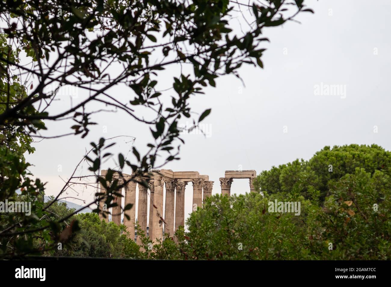 Greenery on architecture High Resolution Stock Photography and Images ...
