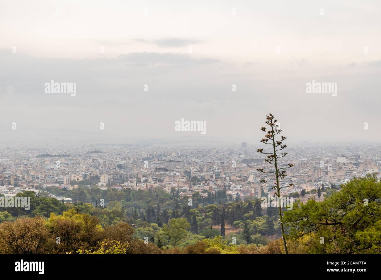 Athens city center streets with white buildings architecture in ...