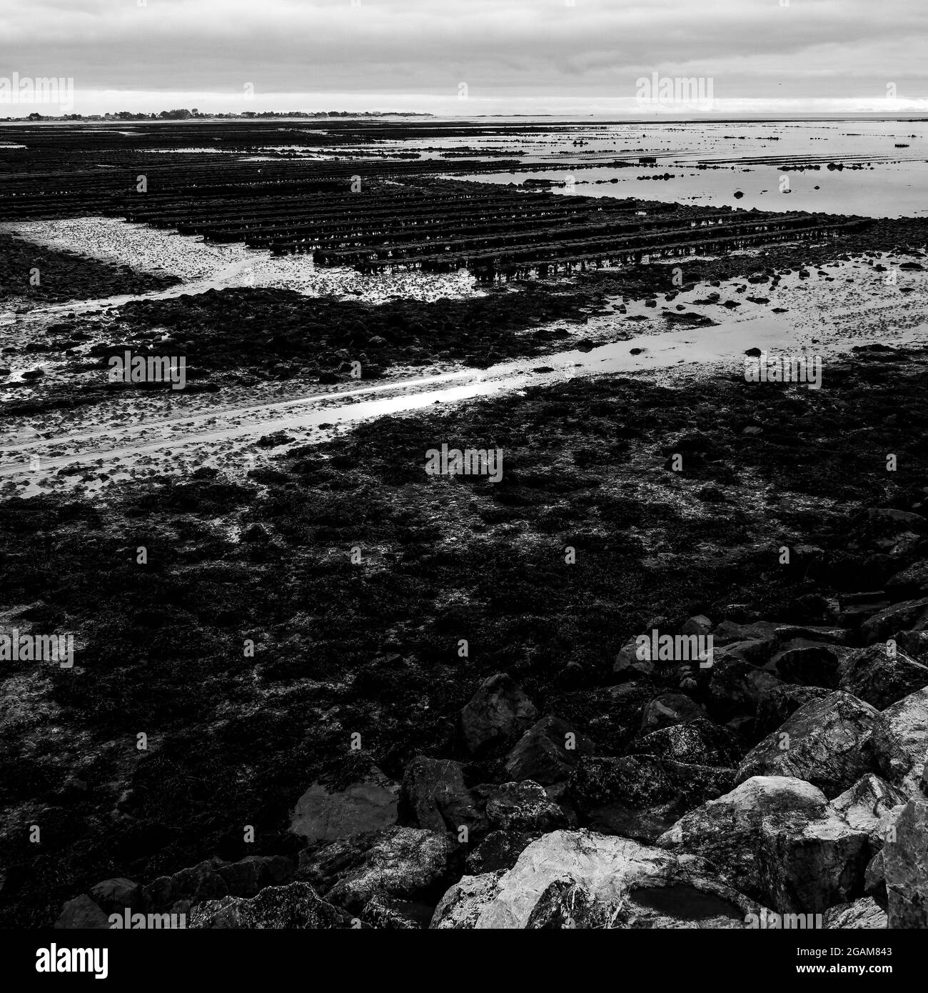 France normandy saint vaast la Black and White Stock Photos & Images ...
