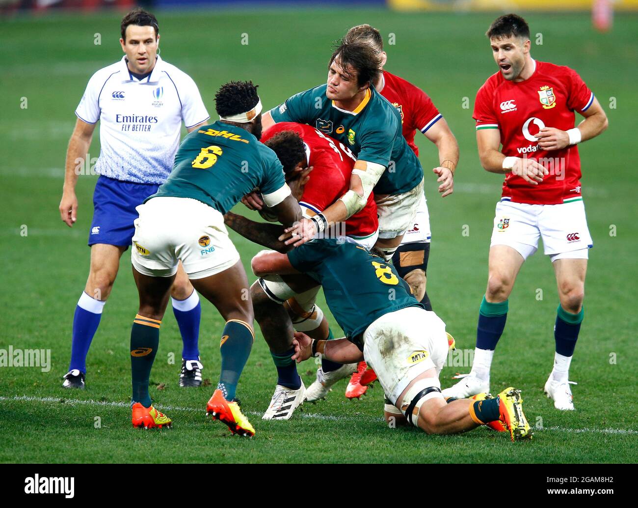 Jasper wiese springboks hi-res stock photography and images - Alamy