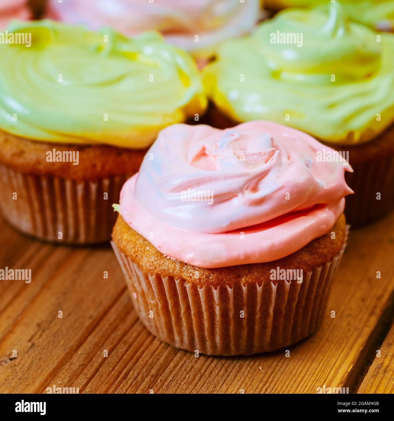 Dessert Sweet Gourmet Cupcakes With Multi-colored Frosting Stock Photo ...