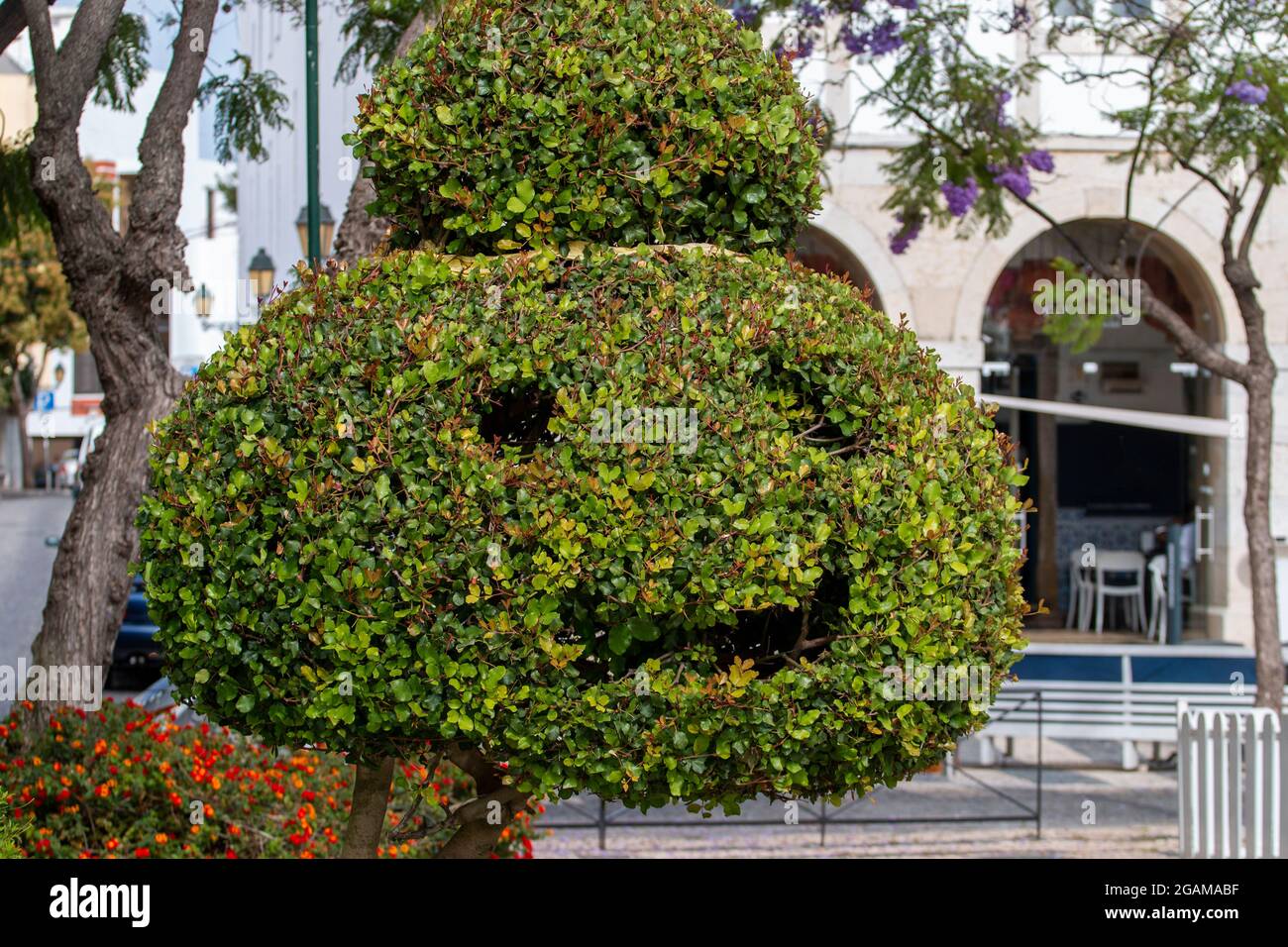 Landscaping art in bush depicting a smiley face Stock Photo - Alamy