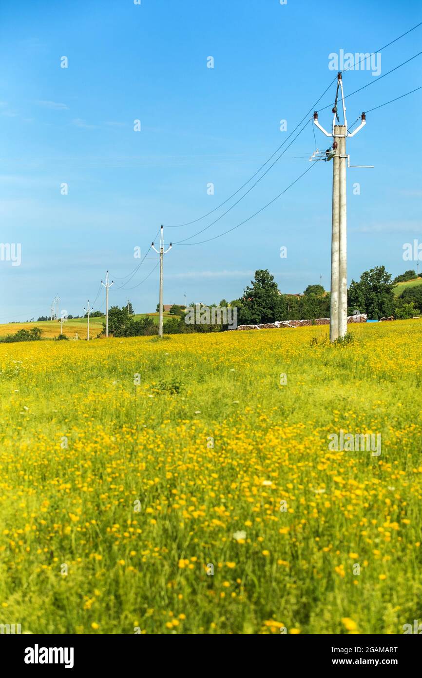 electric transit lines through meadows and agricultural fields. Meadow ...