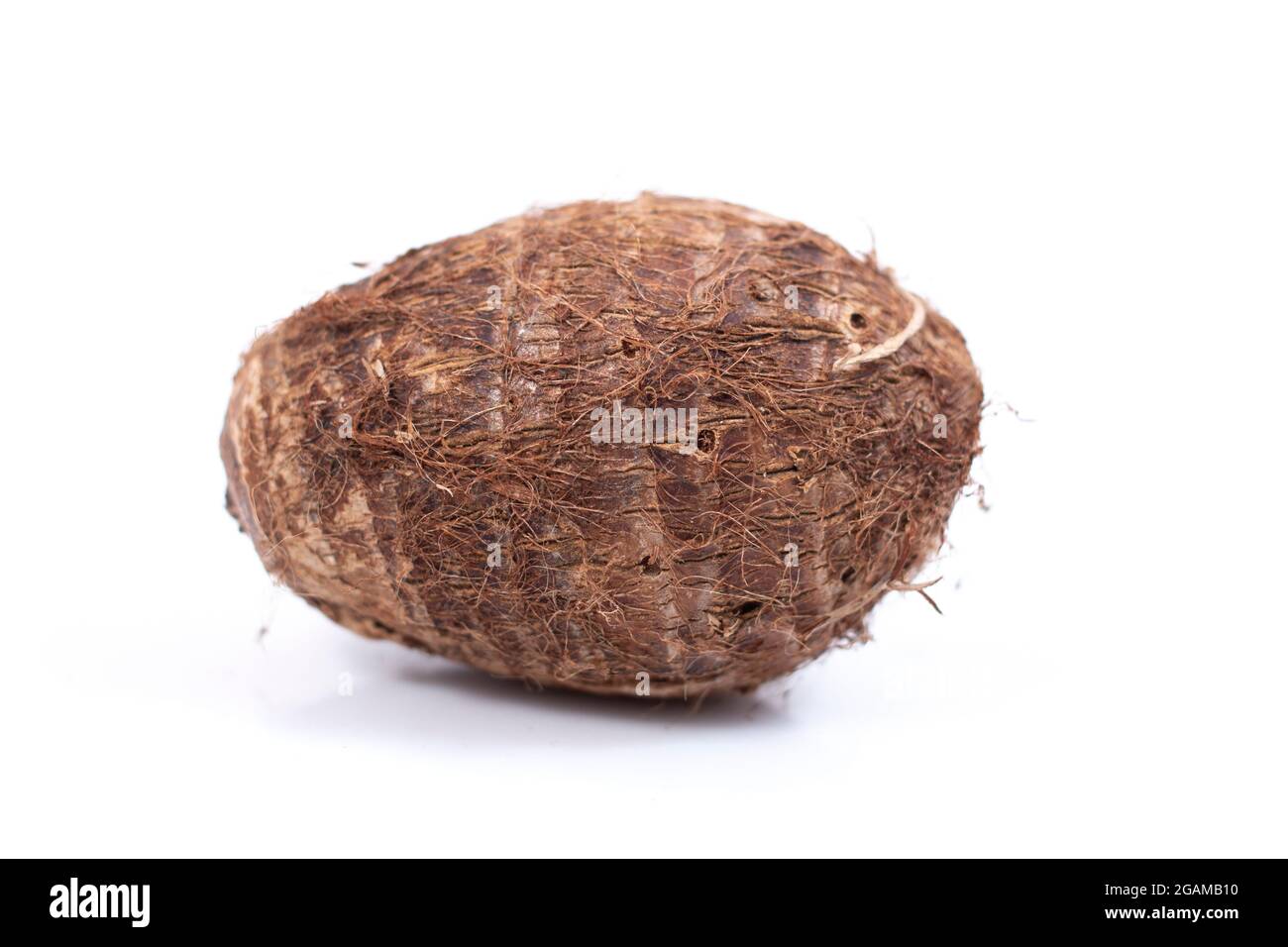 Taro corm root isolated on a white background Stock Photo - Alamy