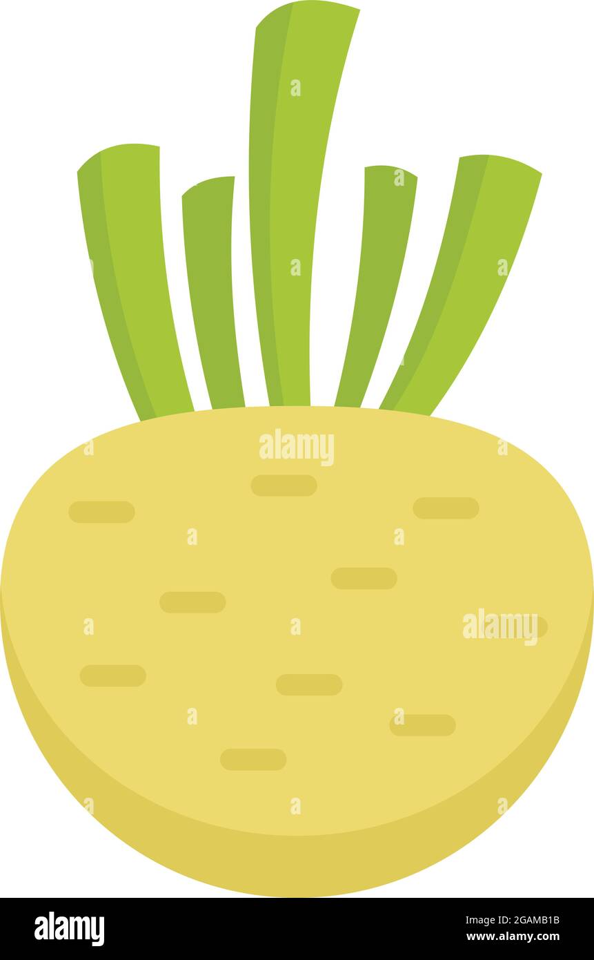 Celery root icon. Flat illustration of celery root vector icon isolated on white background ...