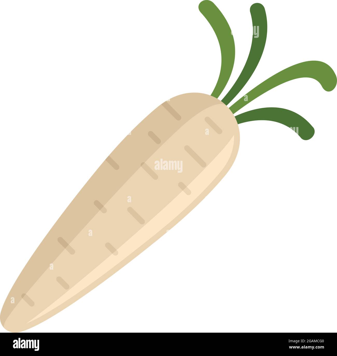 Botanical parsnip icon. Flat illustration of botanical parsnip vector ...