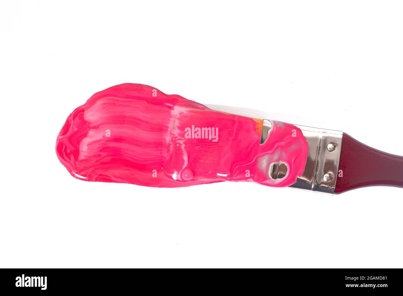 paintbrush immersed on pool of ink isolated on a white background Stock ...