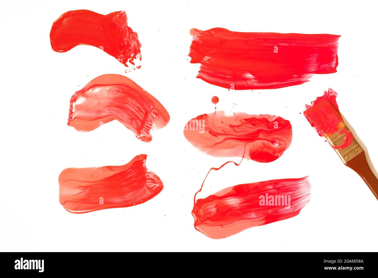 paintbrush immersed on pool of ink isolated on a white background Stock ...