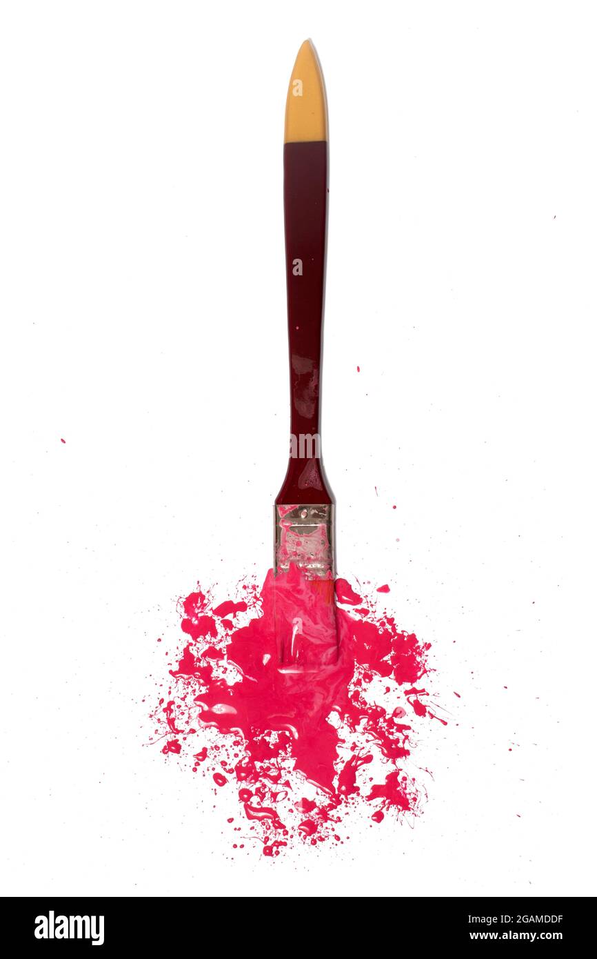 paintbrush immersed on pool of ink isolated on a white background Stock ...