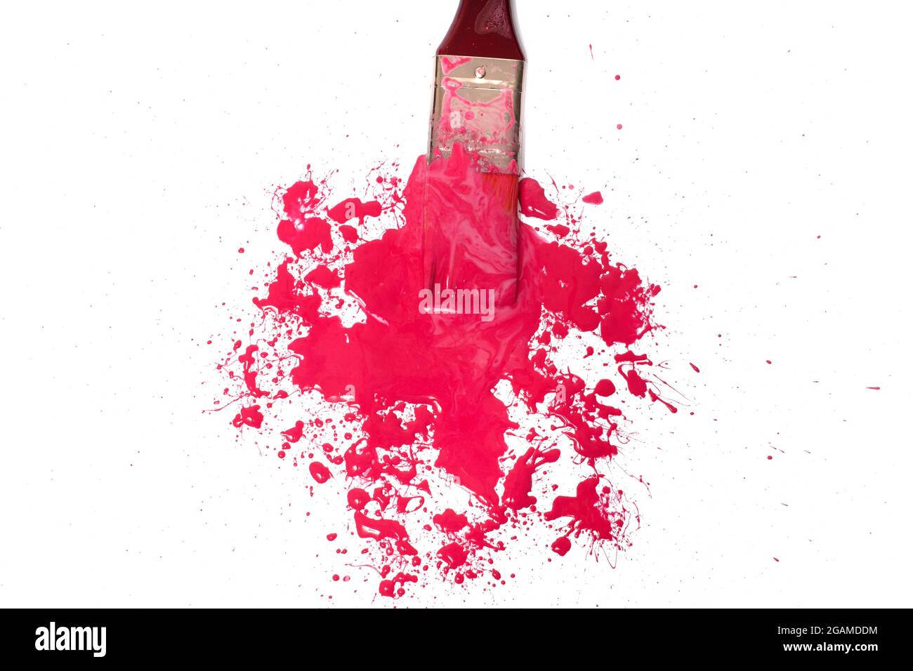 paintbrush immersed on pool of ink isolated on a white background Stock ...