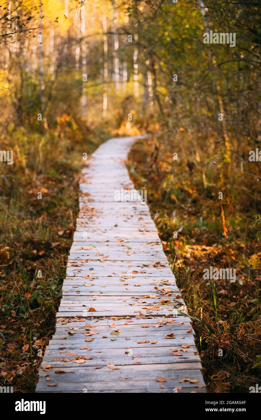 Board walk construction hi-res stock photography and images - Alamy