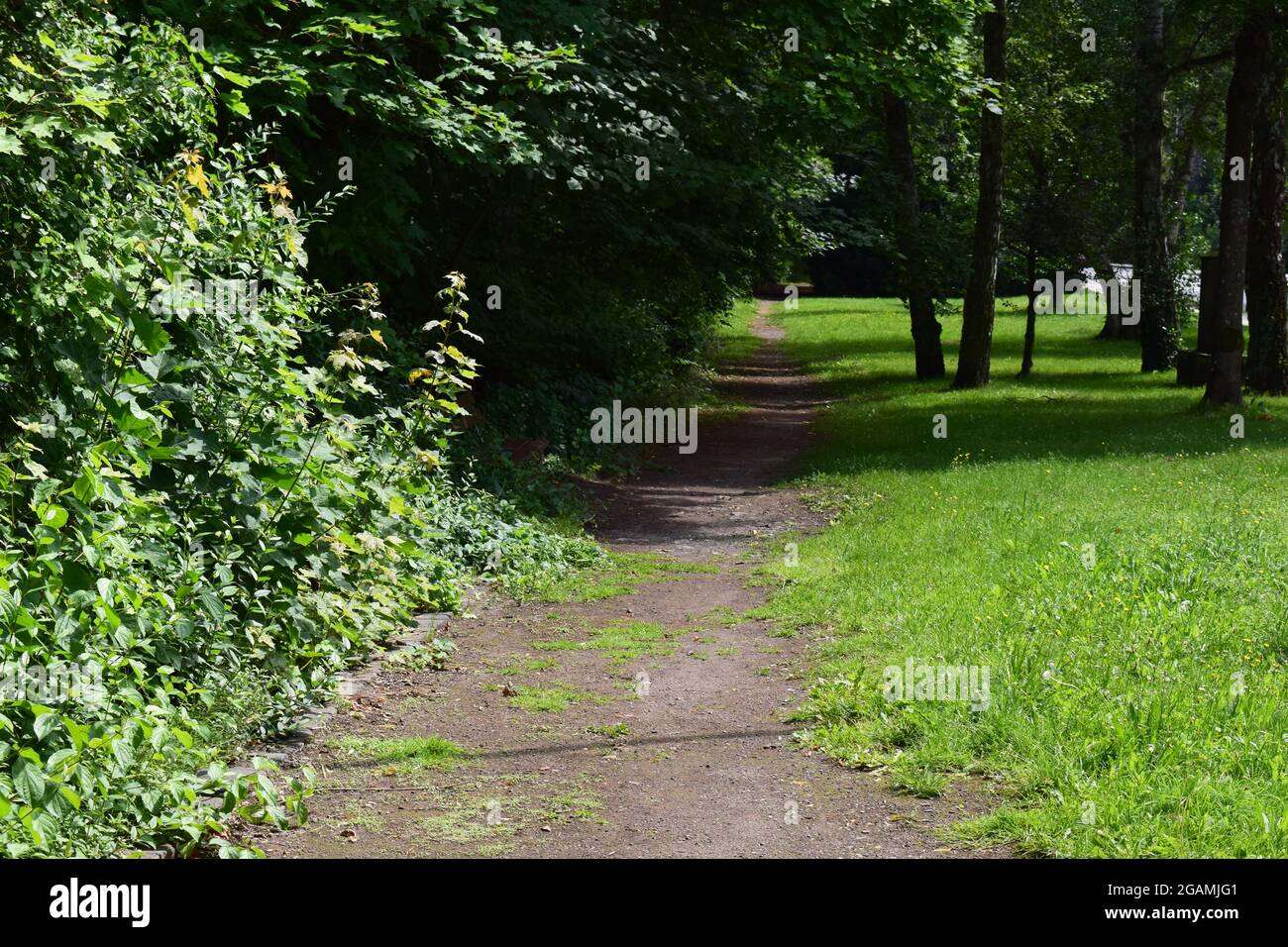 small park path Stock Photo - Alamy
