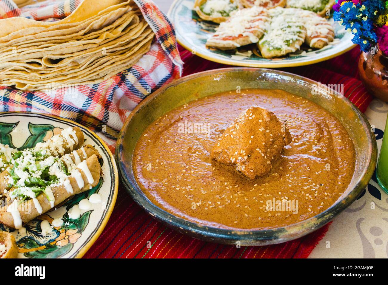 Pipian rojo with meat and sesame, traditional Mexican food in Mexico ...