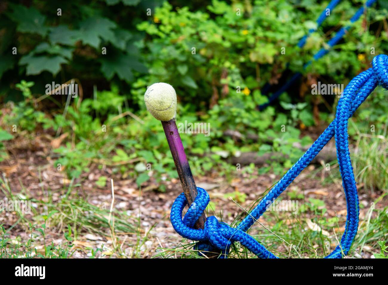 metal rod protected with a tennis ball Stock Photo - Alamy