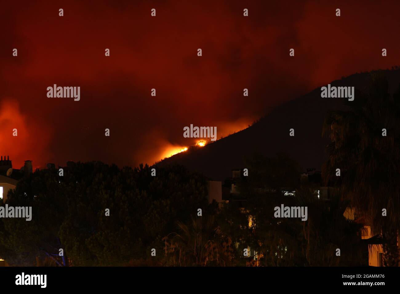 Smoke and flames rise from a forest fire over residential buildings in ...