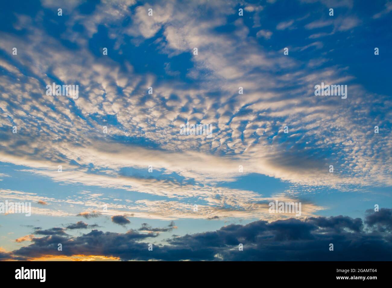 Mackerel colour hi-res stock photography and images - Alamy